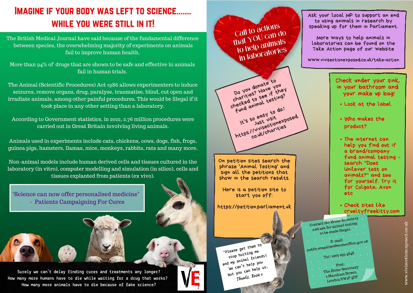 Our leaflet has been updated! – Vivisection Exposed