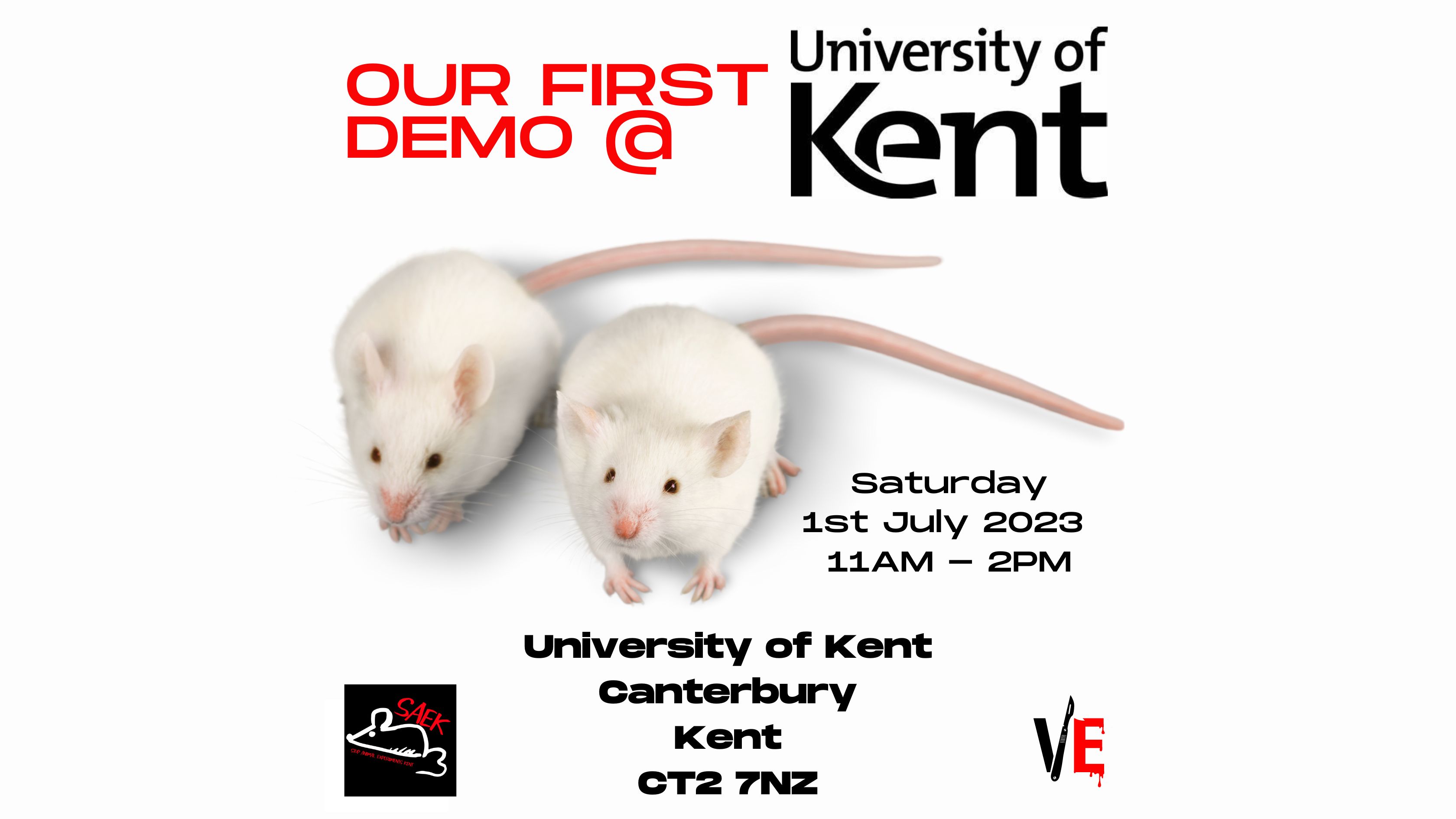 Kent – University of Kent – Vivisection Exposed